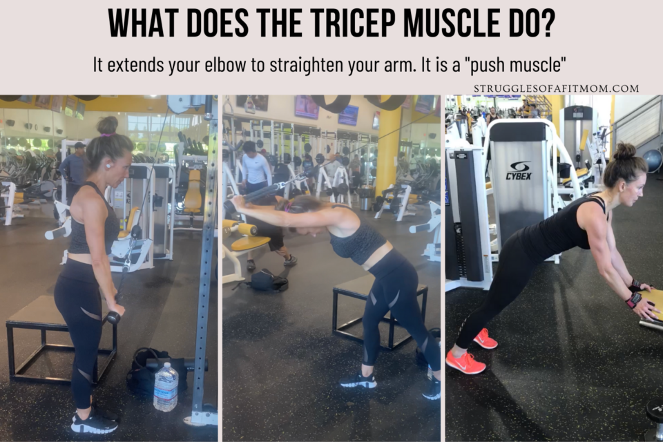 Tackle "Bat Wing" Arms For Good-[23 Best Exercises] - Struggles of a ...